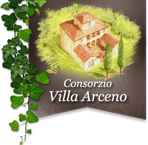 Home | Arceno